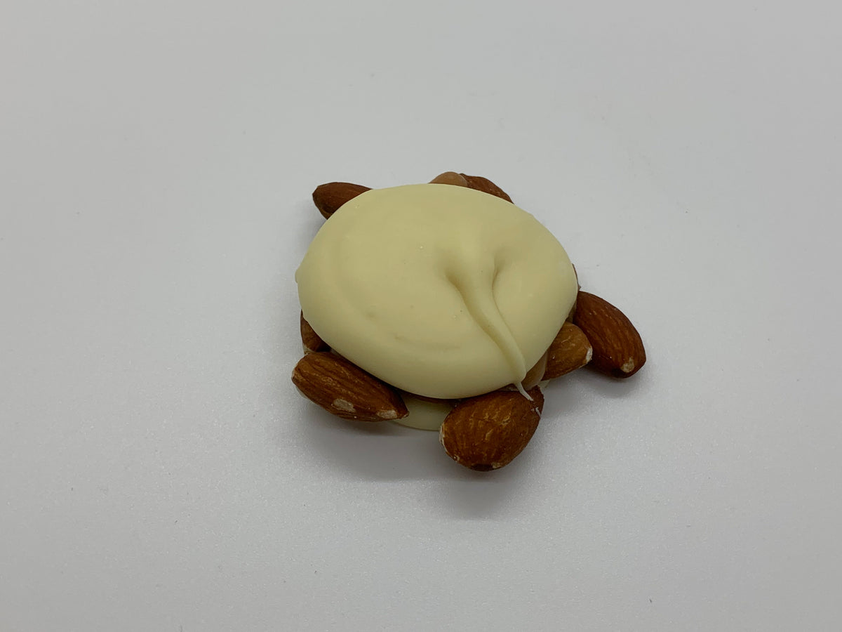 Almond Turtles – Pandolfi's Fine Chocolates